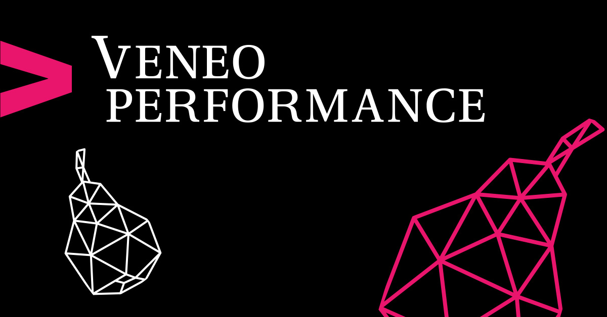 Digital Marketing - Veneo Performance